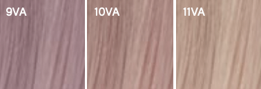 .81 VIOLET.ASH - BRAND ATELIER